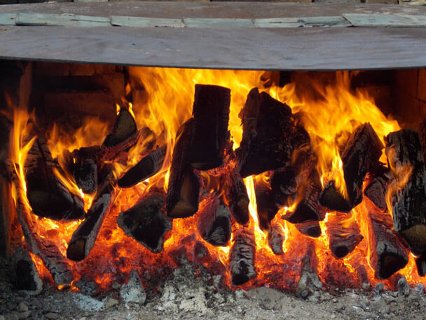 Photo Gallery – Maine Ocean Camping, Searsport Shore Oceanfront Camping ...