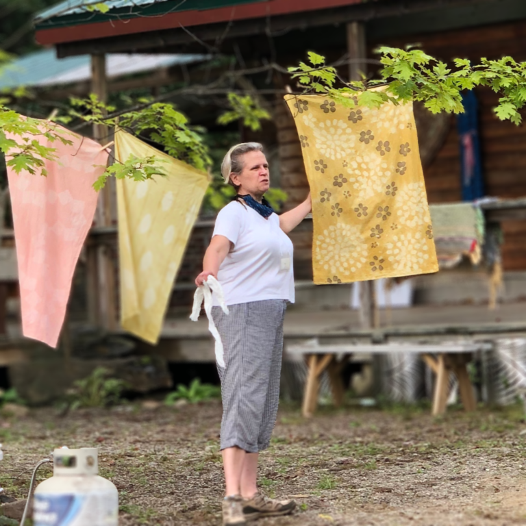 Artists in Residence – Maine Ocean Camping, Searsport Shore Oceanfront ...